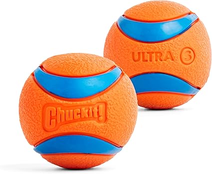 Best Dog Balls | Durable and Fun Fetch Toys for Dogs